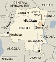 How we found almost 500 lowland gorillas living deep in the forests of ...